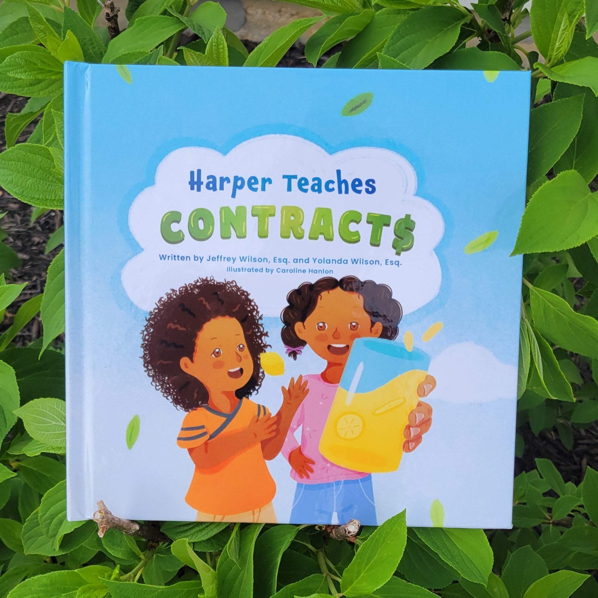 Harper Teaches Contracts (Hardcover Edition)